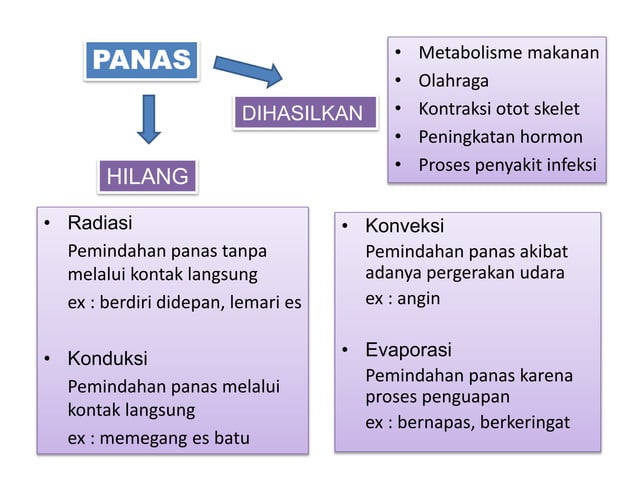 Pemeriksaan tanda-tanda vital (vital sign) | PPT