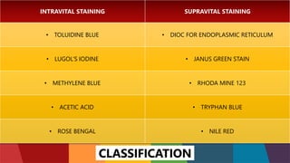 VITAL STAINING | PPTX