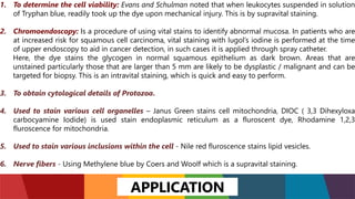 VITAL STAINING | PPTX