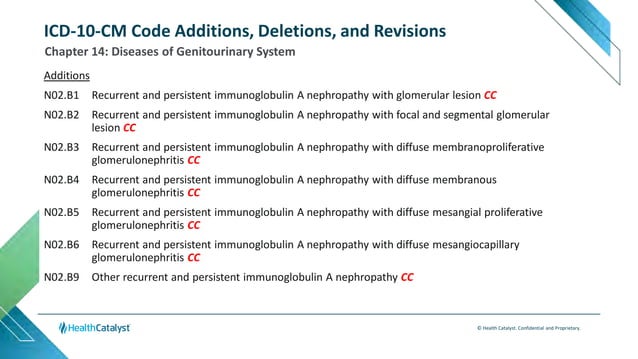 Vitalware Insight Into the 2024 ICD10 CM Updates.pdf