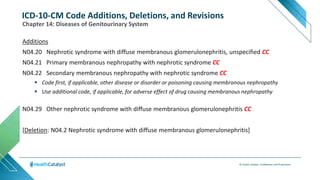 Vitalware Insight Into the 2024 ICD10 CM Updates.pdf