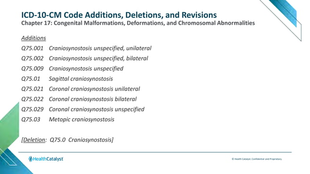 Vitalware Insight Into the 2024 ICD10 CM Updates.pdf