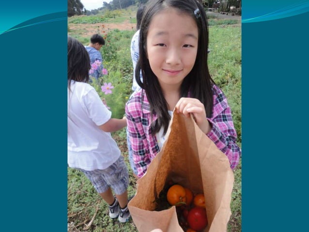 Vital Zuman Sustainable Farm | PPTX | Agriculture | Industries