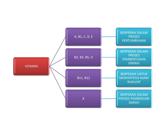 Vitamin | PPTX