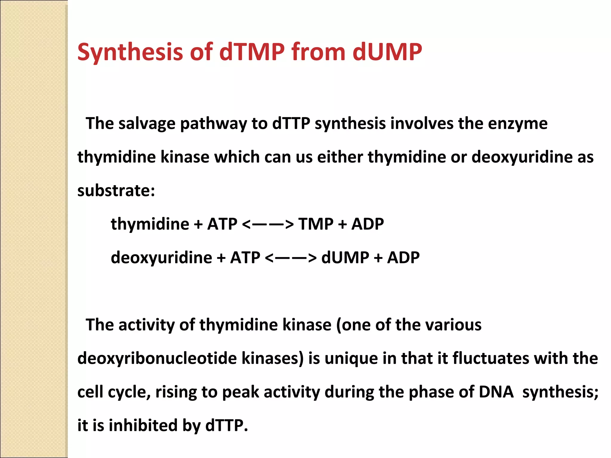 Vitamin B-12 Chemistry and Mode of Action | PPT