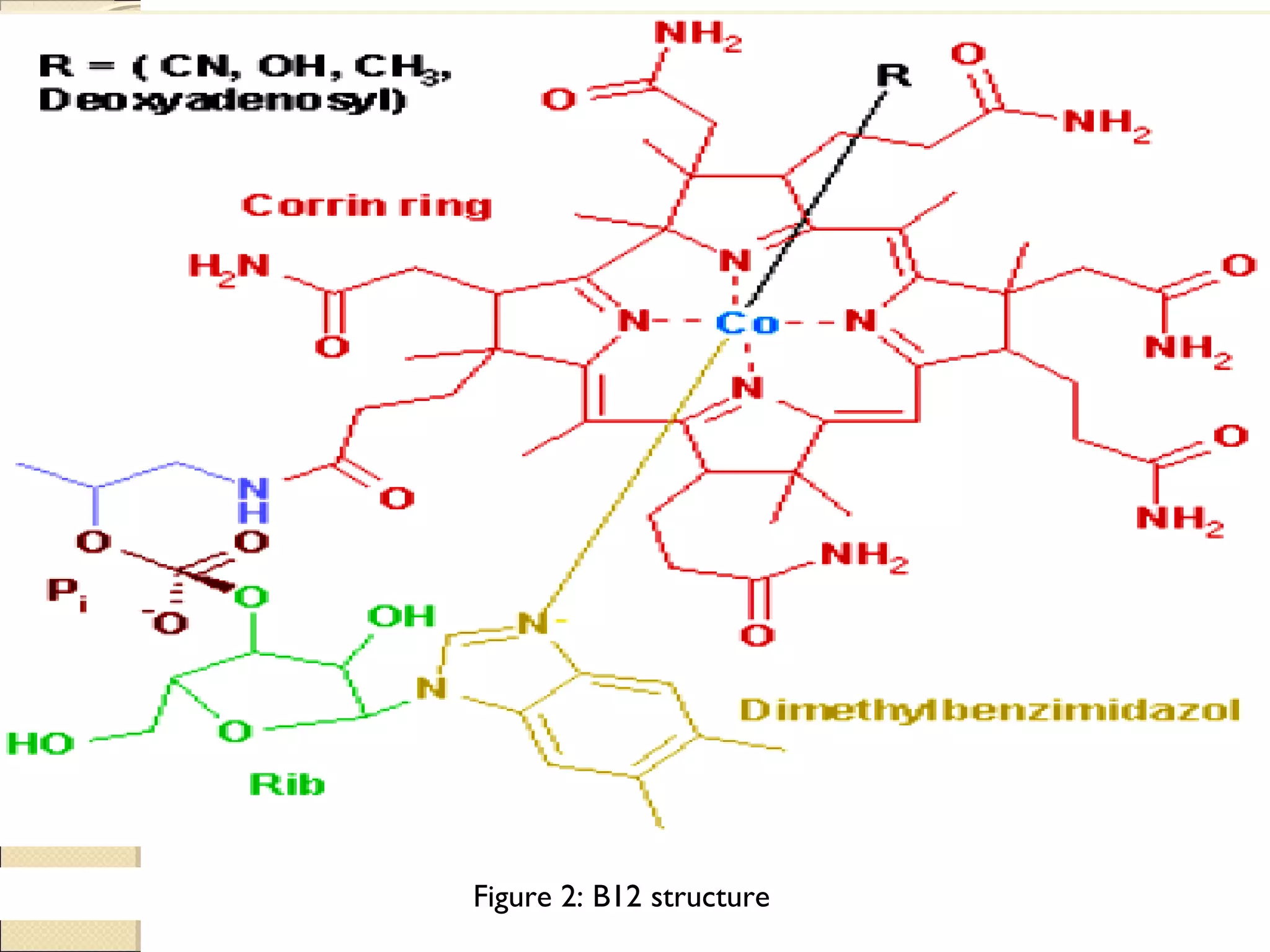 Vitamin B-12 Chemistry and Mode of Action | PPT