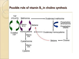 Vitamin B-12 Chemistry and Mode of Action | PPT