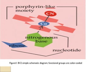 Vitamin B-12 Chemistry and Mode of Action | PPT