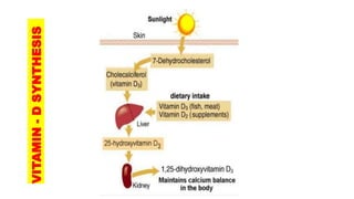 Vitamin - D Microteaching.pptx