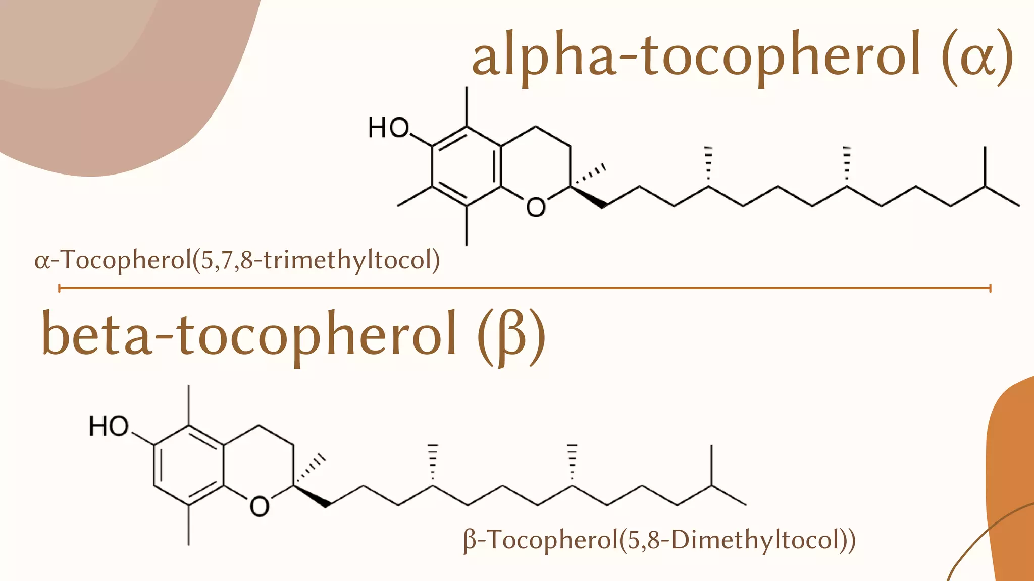 Vitamin-E project.pdf