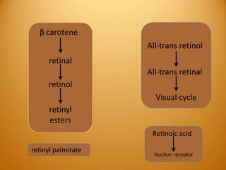 Vitamin a | PPTX