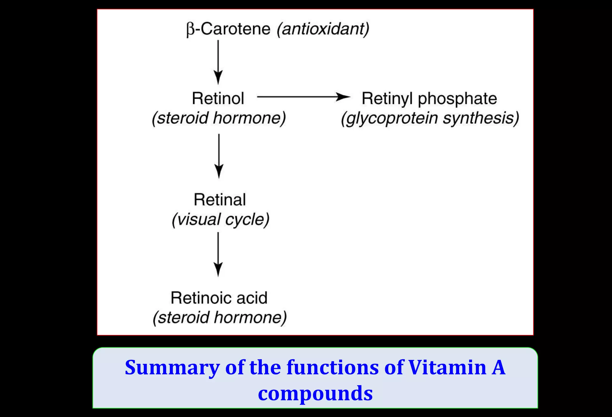 Vitamin A | PPTX