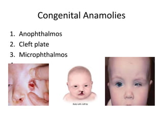 Vitamin A( Animals and HUmans) | PPTX