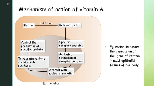 Vitamin A | PPTX