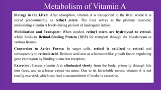 Vitamin A(Sources, Properties, Physiological Function, and Deficiency).pptx
