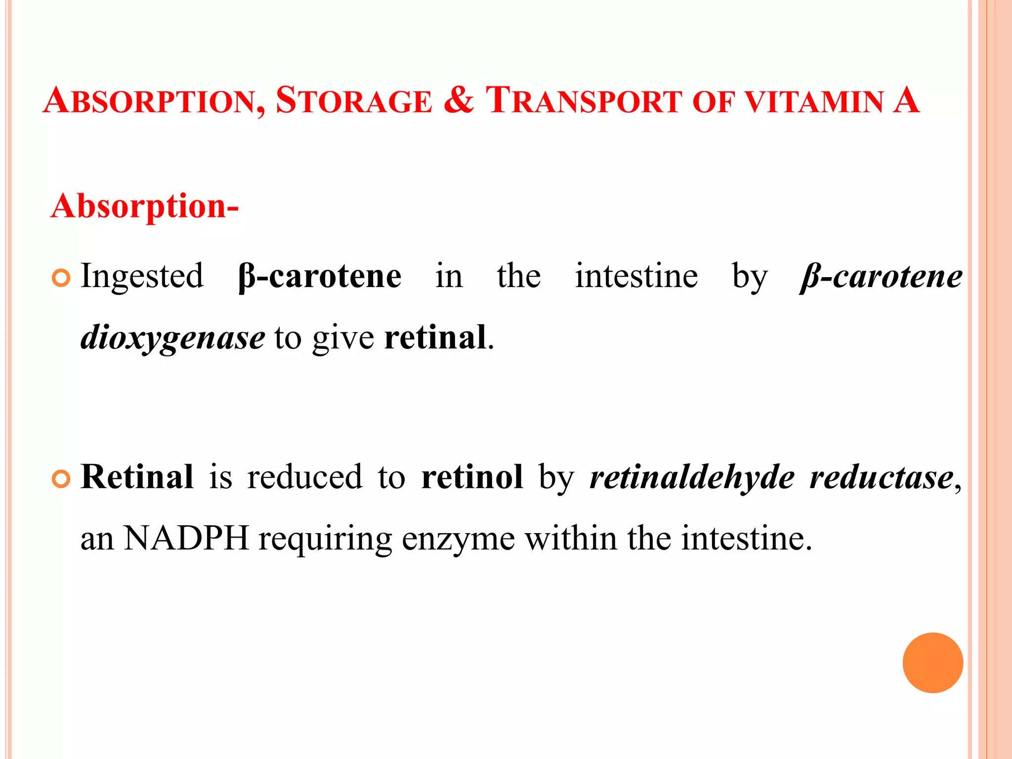 Vitamin a e | PPTX
