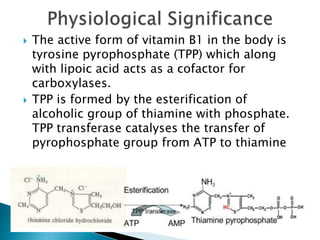 Vitamin A and B1 | PPT