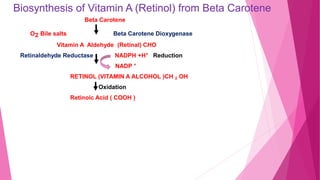 Vitamin A and its clinical applications | PDF