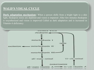 Vitamin A ,C AND E | PPTX