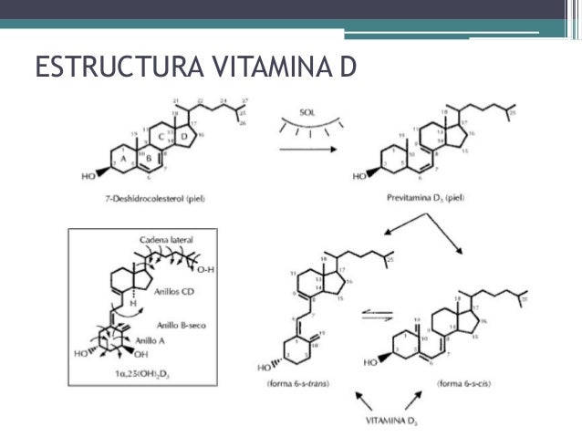 Vitamina d