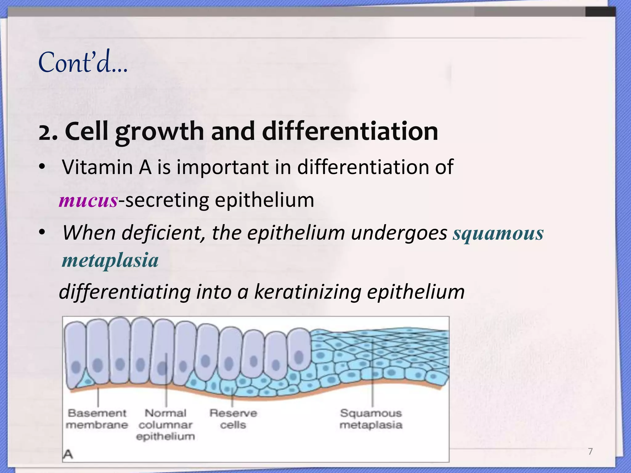 Vitamin A Deficiency | PPTX