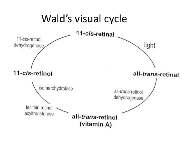 Vitamin A deficiency and control programme