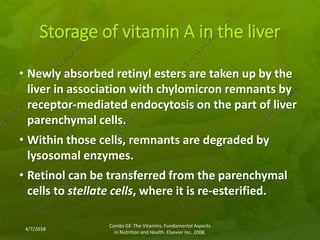 Vitamin A metabolism | PPSX