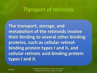 Vitamin A metabolism | PPSX