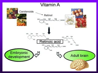 Vitamin A presentation -.pptx
