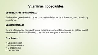 Vitaminas 17,18 Y 19. Tipos de vitaminas | PPTX