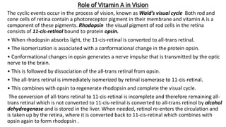 Vitamin A | PPTX
