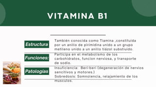 Exposición de Vitaminas y minerales en la u | PDF