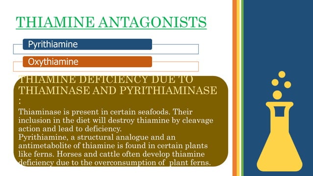 Vitamin B1, THIAMINE | PPT