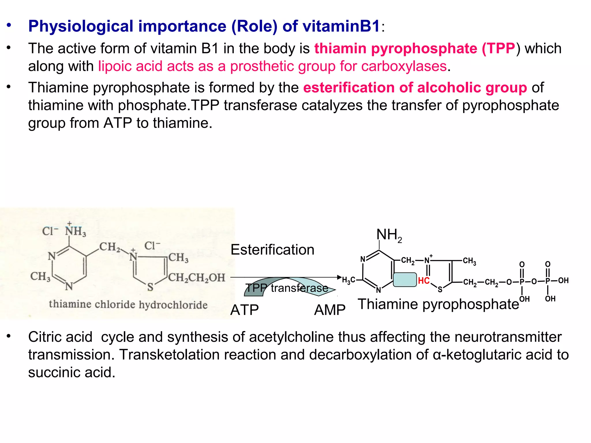 VITAMIN B1 [THIAMINE] MEDICINAL CHEMISTRY BY P. RAVISANKAR [ SOURCE ...