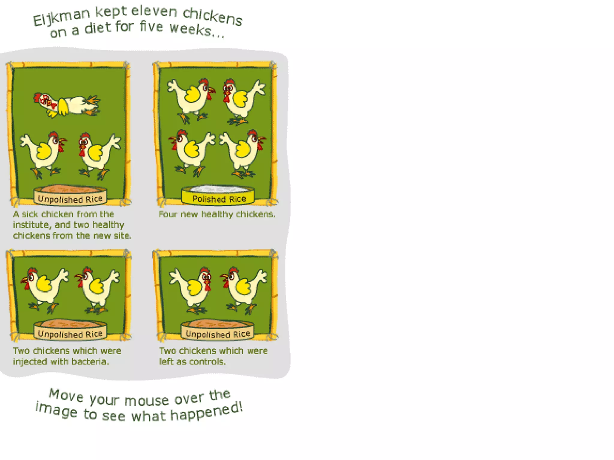 VITAMIN B1 [THIAMINE] MEDICINAL CHEMISTRY BY P. RAVISANKAR [ SOURCE ...