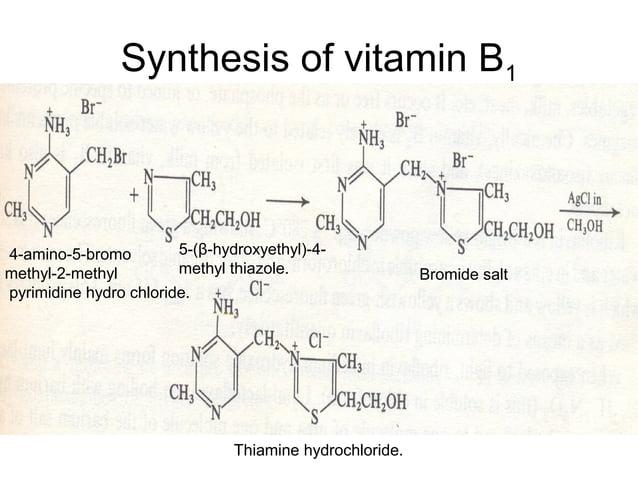 VITAMIN B1 [THIAMINE] MEDICINAL CHEMISTRY BY P. RAVISANKAR [ SOURCE ...