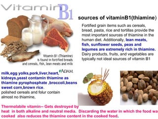 Vitamin B1 Sources