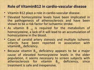 Vitamin B12 | PPT