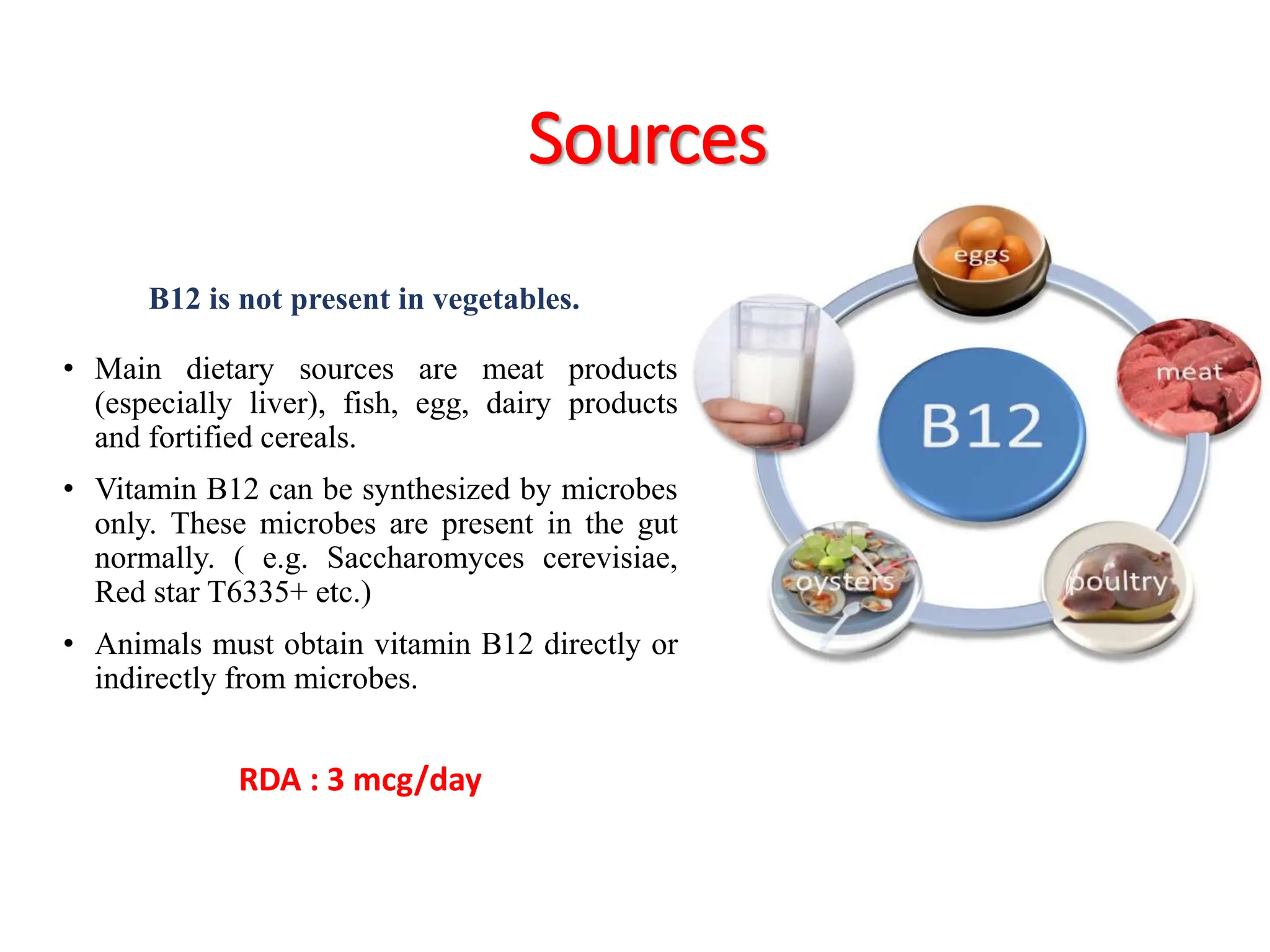 vitaminb12-141121074343-conversion-gate02.pdf