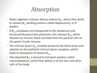 Vitamin b12 | PPTX