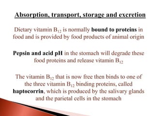 Vitamin B12 human Nutrition and dietetics | PPTX