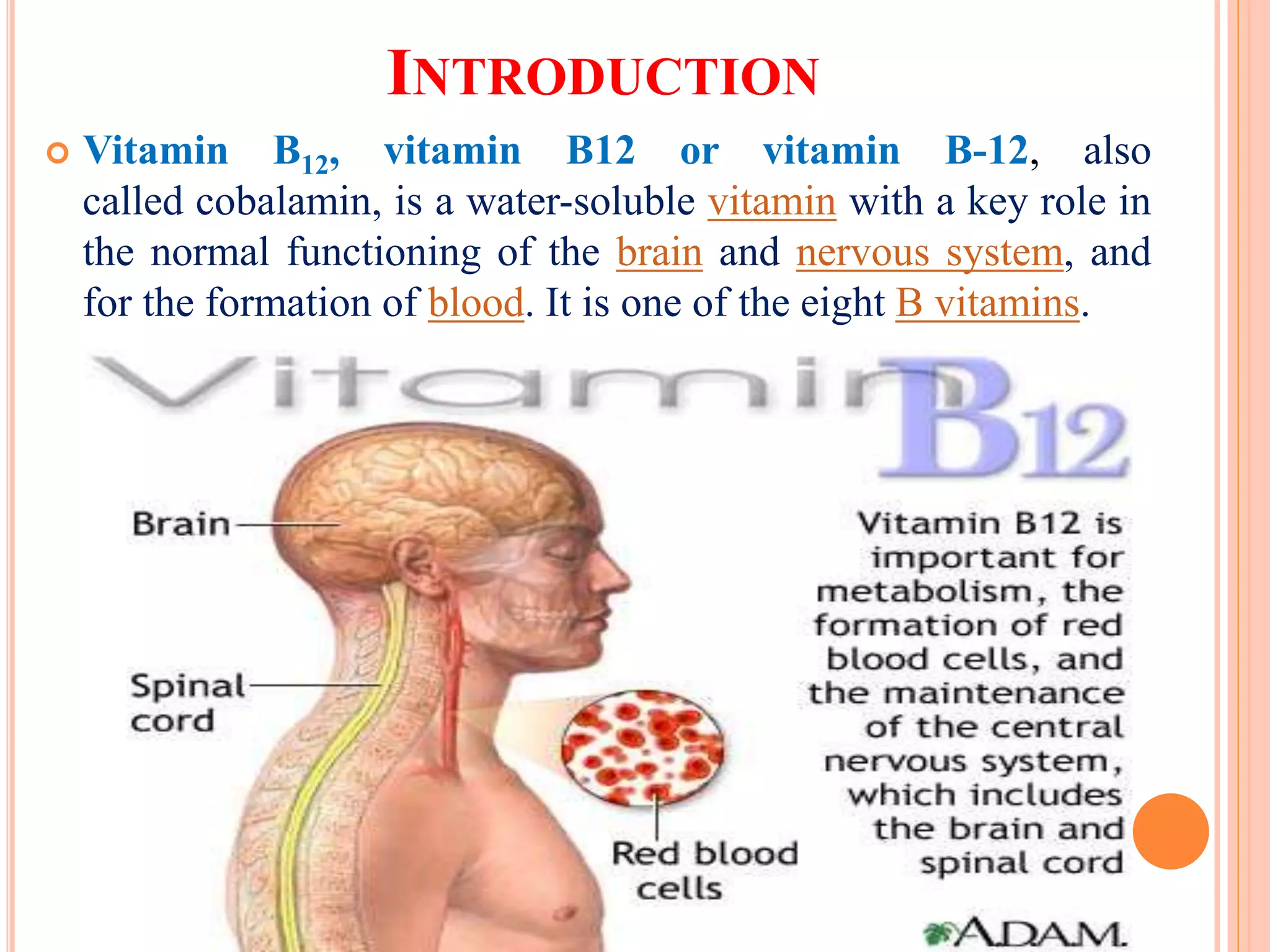 Vitamin B12 | PPTX