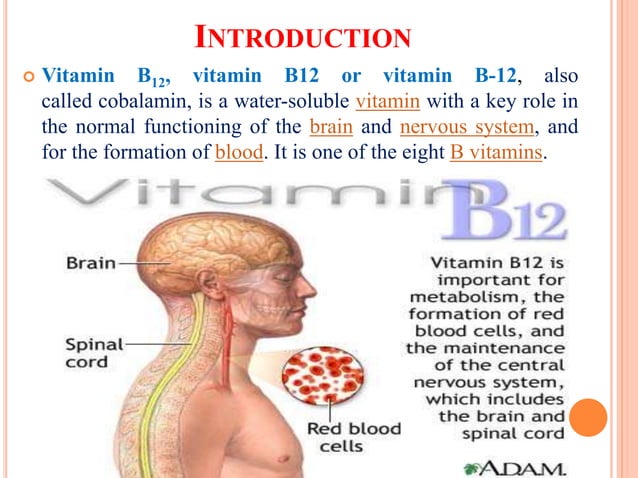 Vitamin B12 | PPTX