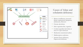 Vitamin B12 and Folate medicine theory.pptx