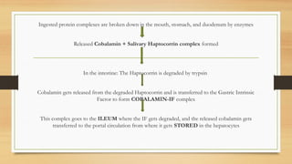 Vitamin B12 and Folate medicine theory.pptx