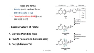 Vitamin B12 and Folate | PPTX