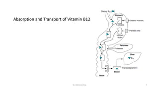 Vitamin B12 and Folate | PPTX
