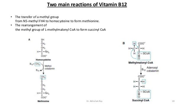 Vitamin B12 and Folate