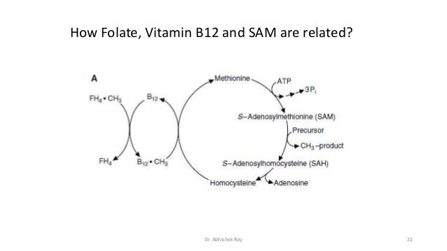 Vitamin B12 and Folate