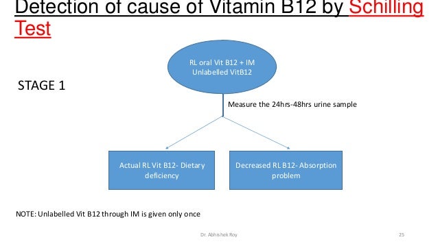 Vitamin B12 Absorption Diagram